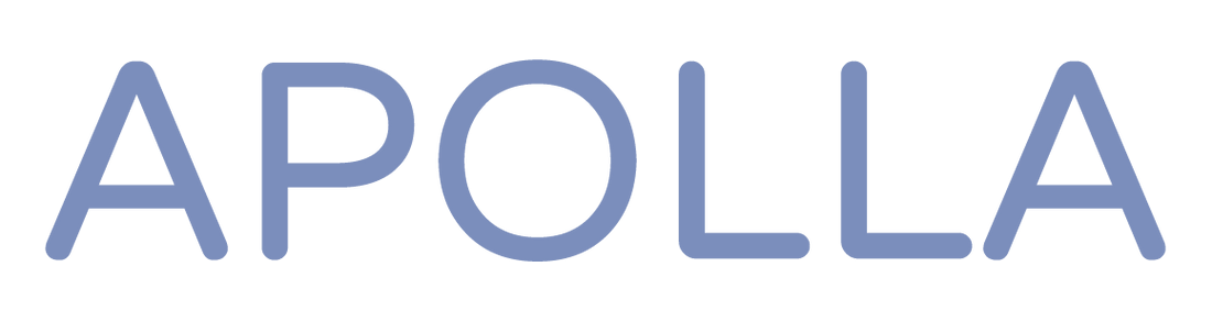 Mesh Bag – Apolla Performance Wear
